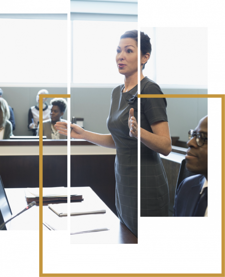 What We Do — Georgia Public Defender Council